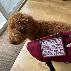 Personal Healthcare Companion Patch - Etsy