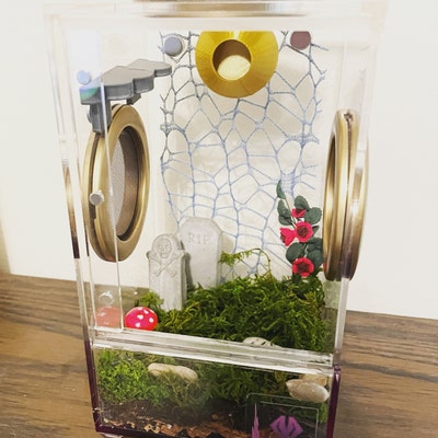 THE Kit DIY Terrarium Kit All You Need is the Container - Etsy