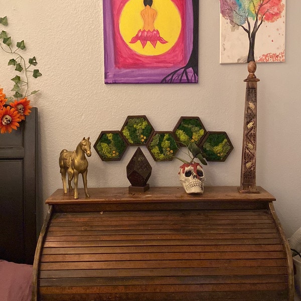 Moos Wandkunst Bienenwabe | Vier Größen, 5 x 6 Zoll, 8 x 9 Zoll, 10 x ...