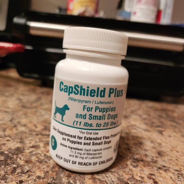 CaliPetShop - Etsy