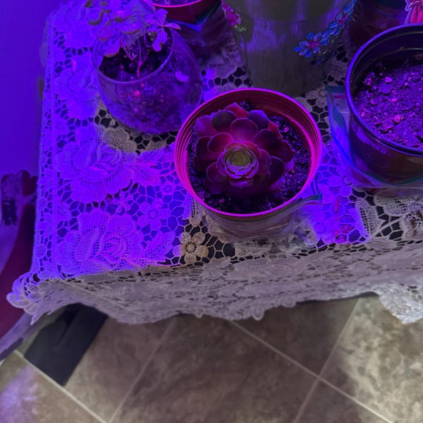 People Planter - "gamer" (#7) - Etsy