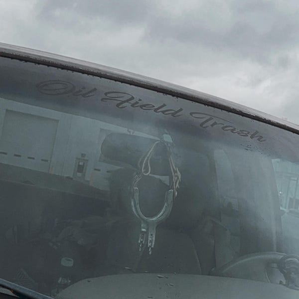 DIRTY SOUTH 42 Windshield Vinyl Decal Sticker Diesel Truck Car Southern ...