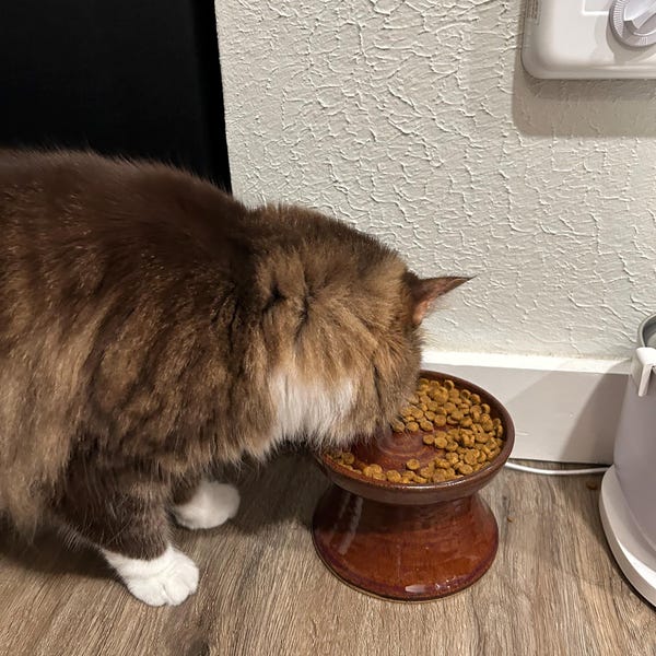 Colorful Ceramic Triangle Soap Dish | Draining | Handmade | Longer ...