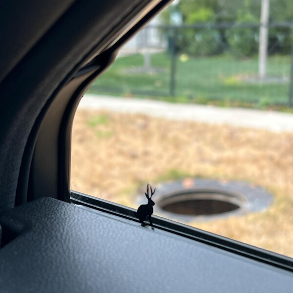 Damn That's Hot, Car Mirror Decal, Visor Mirror Decal, Rearview Mirror ...
