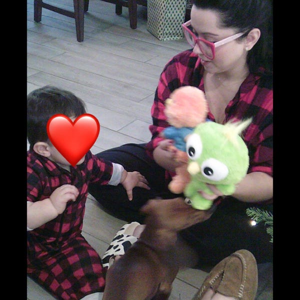 Ms Rachel Georgie Custom Made Stuffed Teddy, Miss Rachel Toys ...