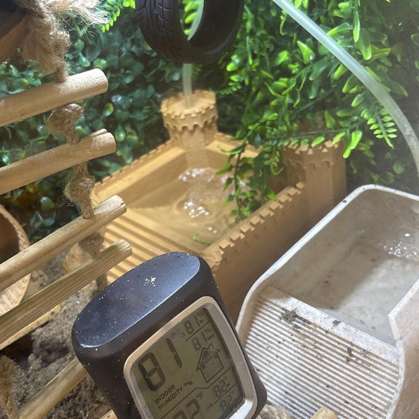 V6 Engine Ice Block | 3D Printed | Can Cooler - 6 Can + Ice Cooler ...