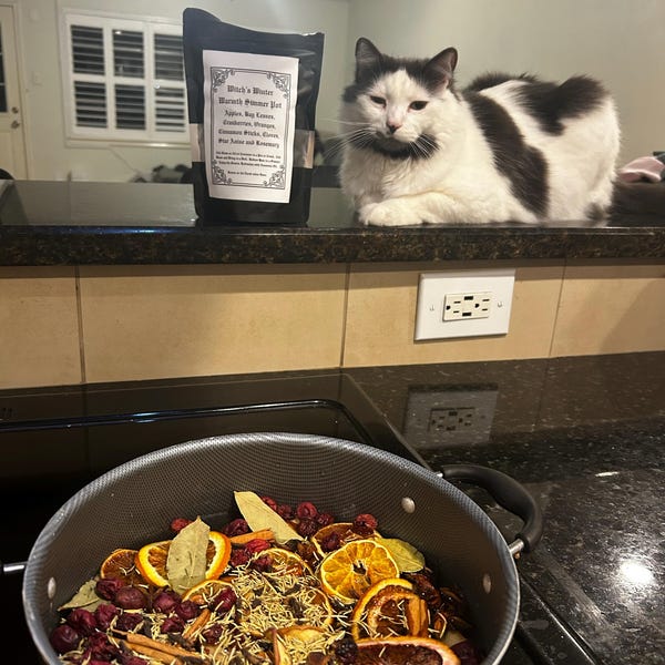 Witch's Winter Warmth Simmer Pot - Etsy