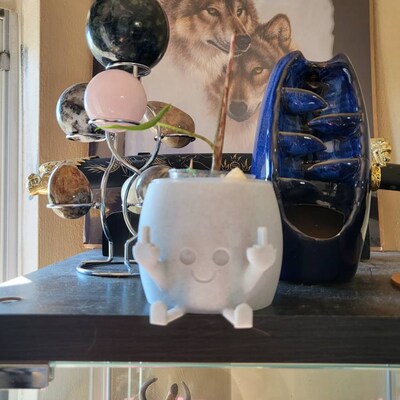 Middle Finger Happy Planter in ALL Colors Kawaii Planter, Planter With ...