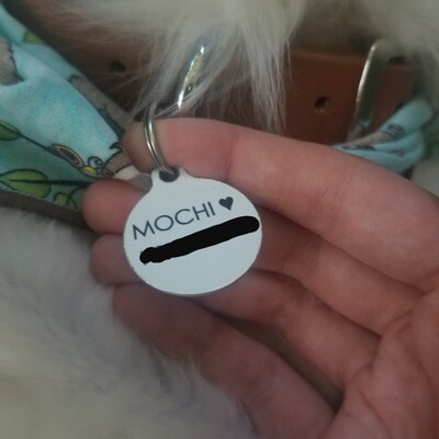 Pet ID Tag American Eskimo - Etsy