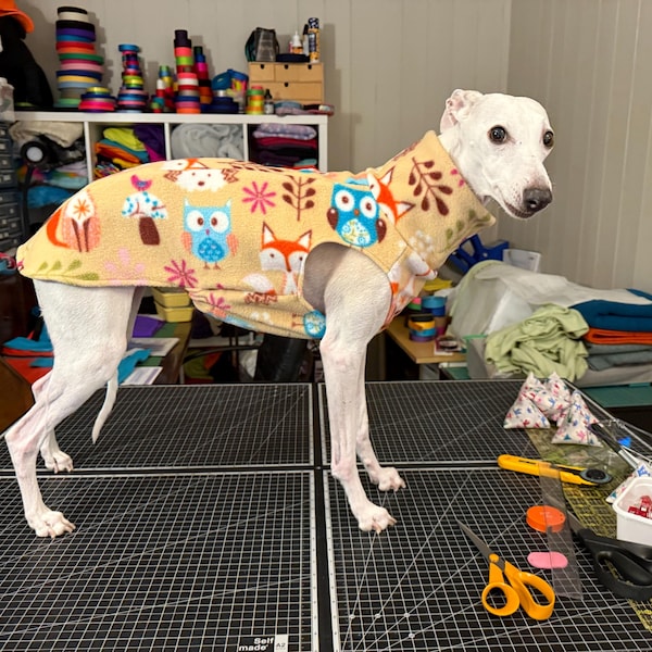 Sewing Pattern for Italian Greyhound Coat / Jacket / Waterproof ...