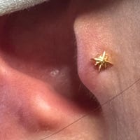 18G/16G Star Internally Threaded Labret Tragus Stud Conch Earrings ...