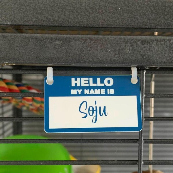 Personalized Bird Cage Name Tags, Custom Name Tags for Bird Cages, Bird ...