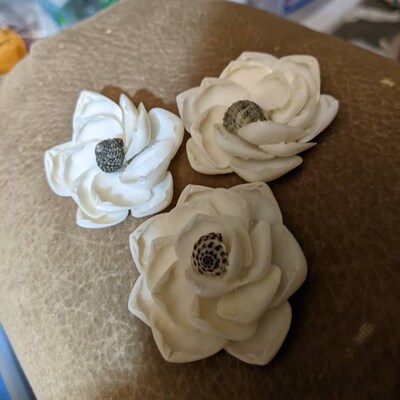 Organic White Silk Cocoons for Facial Scrub Gentle Scrub for - Etsy