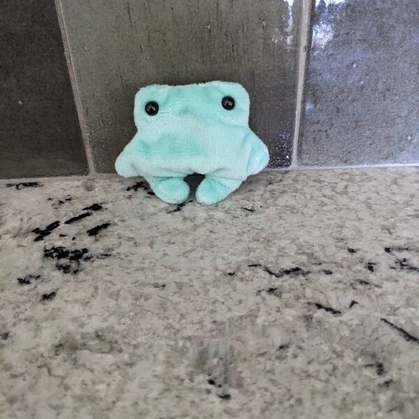 Pocket Frog Plush Toy, Worry Pet, Weighted Animal, Travel Companions ...