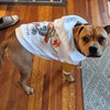 Dog Quarter Zip Hoodie PDF Sewing Pattern Sizes XS / S / M / L / XL ...