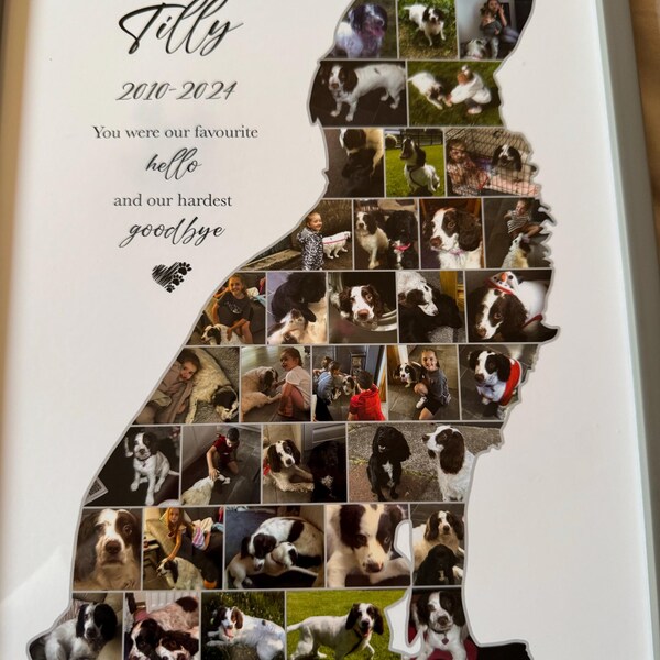 Cocker Spaniel Photo Collage Print: Personalized Pet Memorial Gift - Etsy