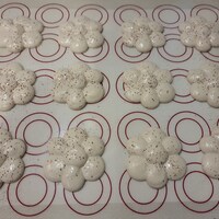 Lion Safari Macaron Template - Etsy