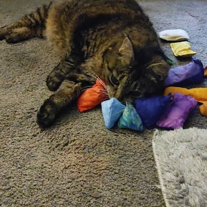 Siamese Catnip Toy, Tuxedo Cat Catnip Toy, Panther Catnip, Butterscotch Catnip Toy, Jungle Cats ...