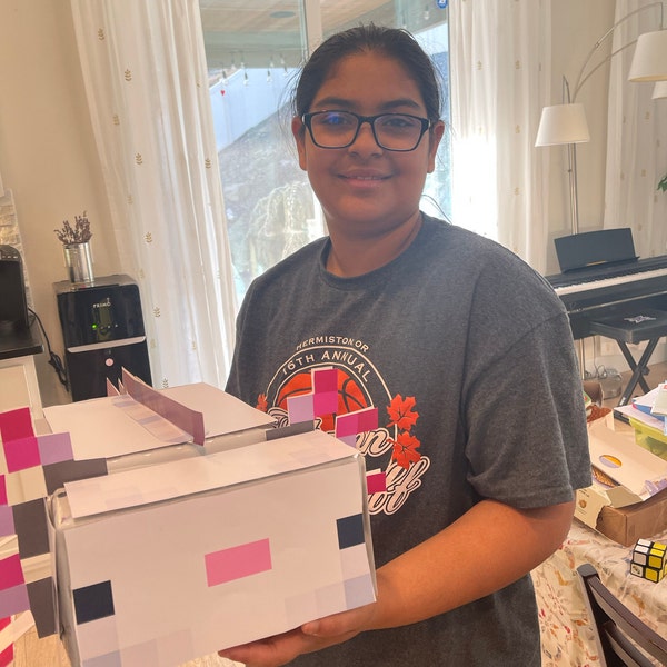 Minecraft Axolotl Valentine Box Cute Printable - Etsy