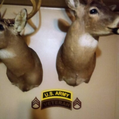 Military Gift US Army Ranger Tab. Special Forces - Etsy