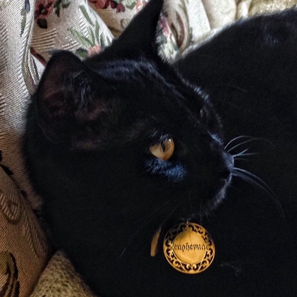Fancy Custom Personalised Cat Pet ID Tag - Gold Brass - LORD KITTINGTON - Etsy
