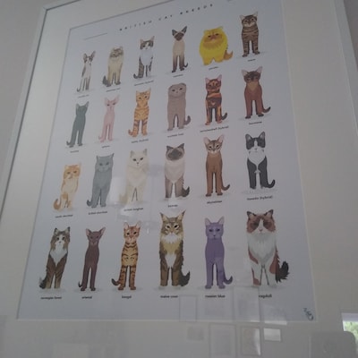 Cat Breeds Art Print Cat Types Print Cats Print Cat Poster Cat Lover ...