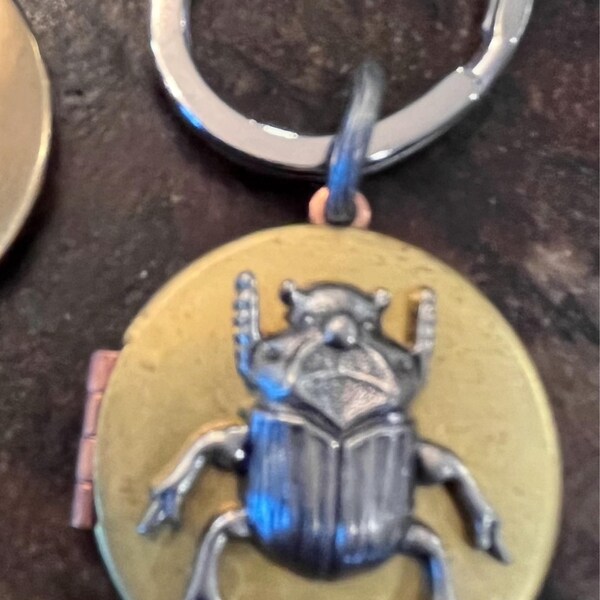Silver Cicada Locket Necklace: Hidden Compartment Bug Pendant - Etsy