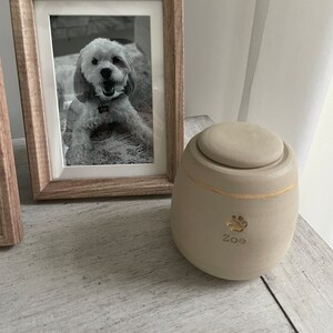 Ceramic Dog Bowls Set With Jute Pet Rug. Modern Pet Bowls. Dog Bowls ...