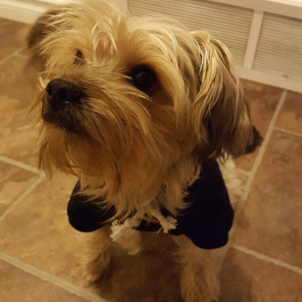 SECURITY Dog Sweatshirt Hoodie - Dog Sweater - Dog Jumper - Printed Dog ...