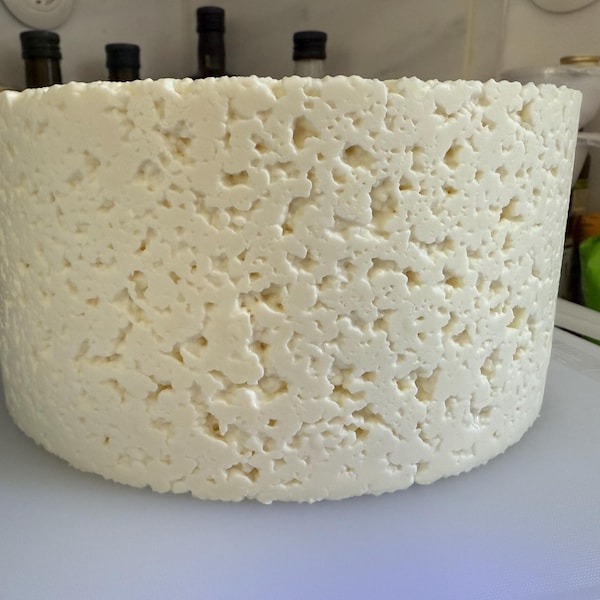1/2" Cut VERTICAL Curd Cutter Cheesemaking Curd Knife Handmade ...