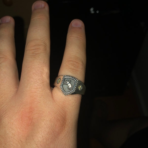 House Signet Ring - the Badger - Sterling Silver - Etsy