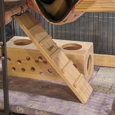 INDOOR Guinea Pig Ramp, Rabbit Ramp, Hedgehog Ramp With Sides Option 5. ...