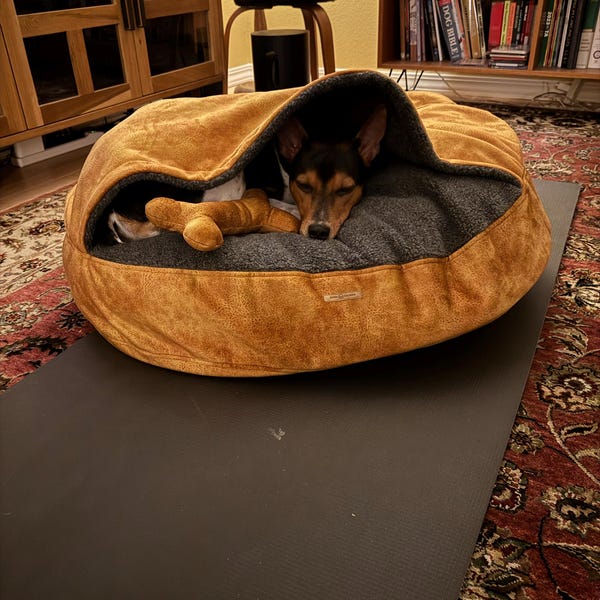 MERINO WOOL DOG Bed, Dog Cave Bed, Washable Dog Bed, Natural Wool Dog ...