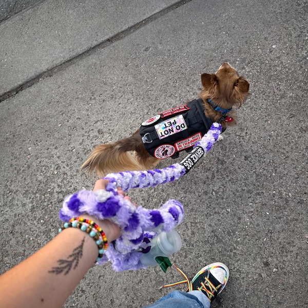 Custom Handmade Fleece and Minky Dog Leash - Etsy