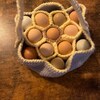 Crochet PDF Pattern- Sunflower Egg Collecting Basket - Etsy