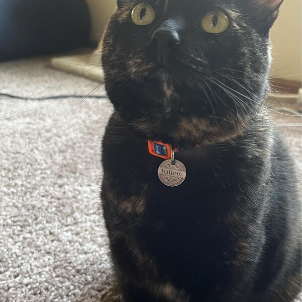 Personalized Pet Tag Elven Scrollwork With Celtic Border Custom Dog Cat ...