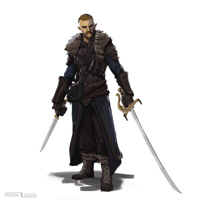 Custom Character Commission for RPG - Etsy