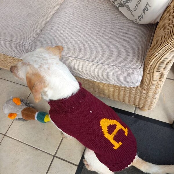 Create Your Own Dog Jumper. Over 30 Colours to Choose From XS-XXL ...