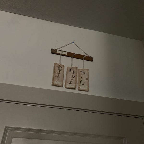 DIY Crow Surprise Box Host a Crow Party Trinket Boxes Ready to Fill ...