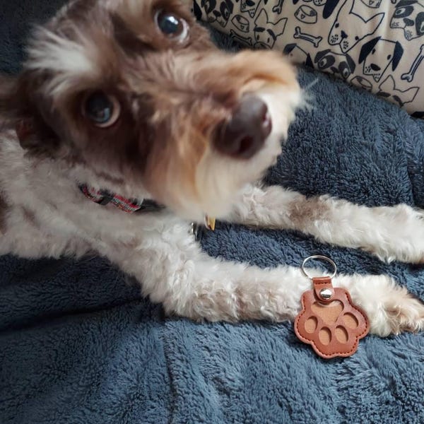 Personalized Pet Photo Keychain: Custom Dog Cat Memorial Fur Keepsake ...
