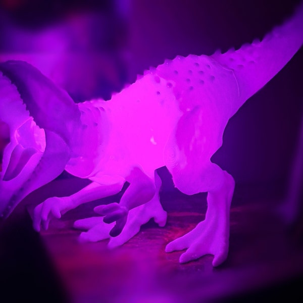 Tyrannosaurus Rex Wall Hanging 3D Printed Accent Lamp, T-rex, Novelty ...
