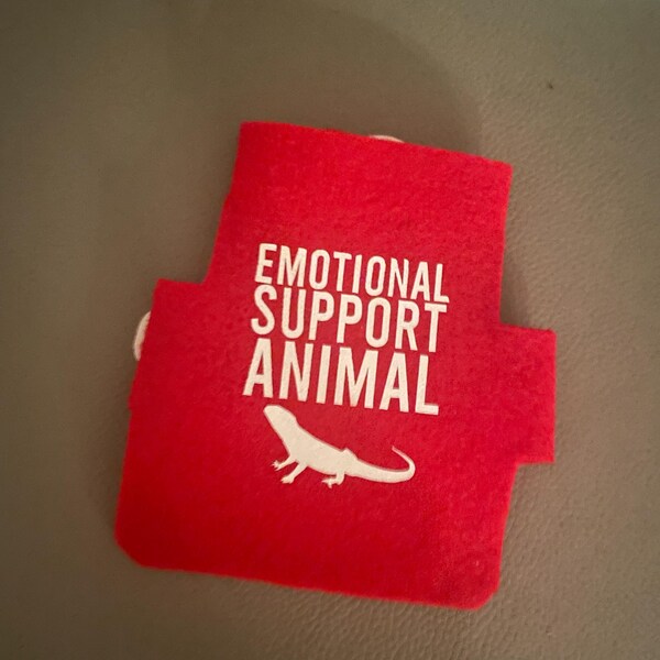 Bearded Dragon Candy Corn Costume Sweater, Halloween Lizard Sweater ...