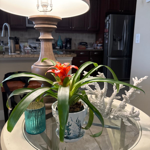 Hand Decorated Red Poppy Flower Pot - Etsy