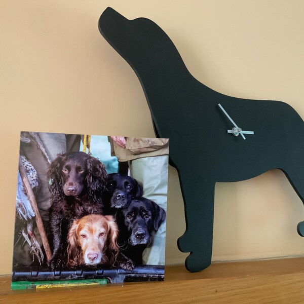 Black Labrador Greeting Card - Black Lab Birthday Card - Labrador ...