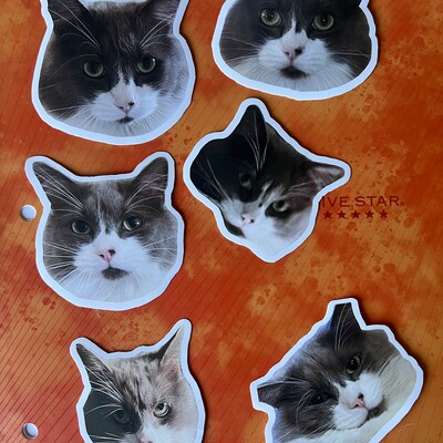 Custom Pet Sticker, Animal Sticker, Personal Sticker, Photo Pet Sticker ...