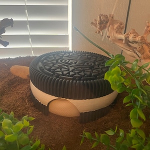 High Detail Human Skull Container Goth Storage Solution - Etsy