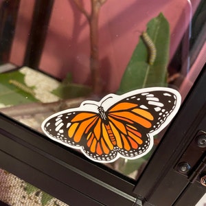 Monarch Sticker, Insect Sticker, Butterfly Sticker, Monarch Butterfly ...