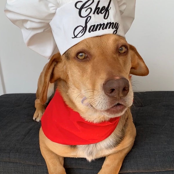 Chef Dog Costume Hat and Red Scarf - Etsy