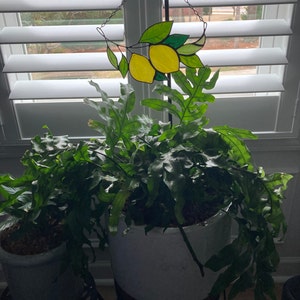Lemon Branch Stained Glass Suncatcher Window Hangings Lemon Tree Leaf ...