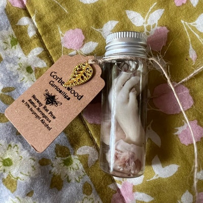 Mixed Mystery Lot Wet Specimens Insect Mammal Bird Aquatic. - Etsy